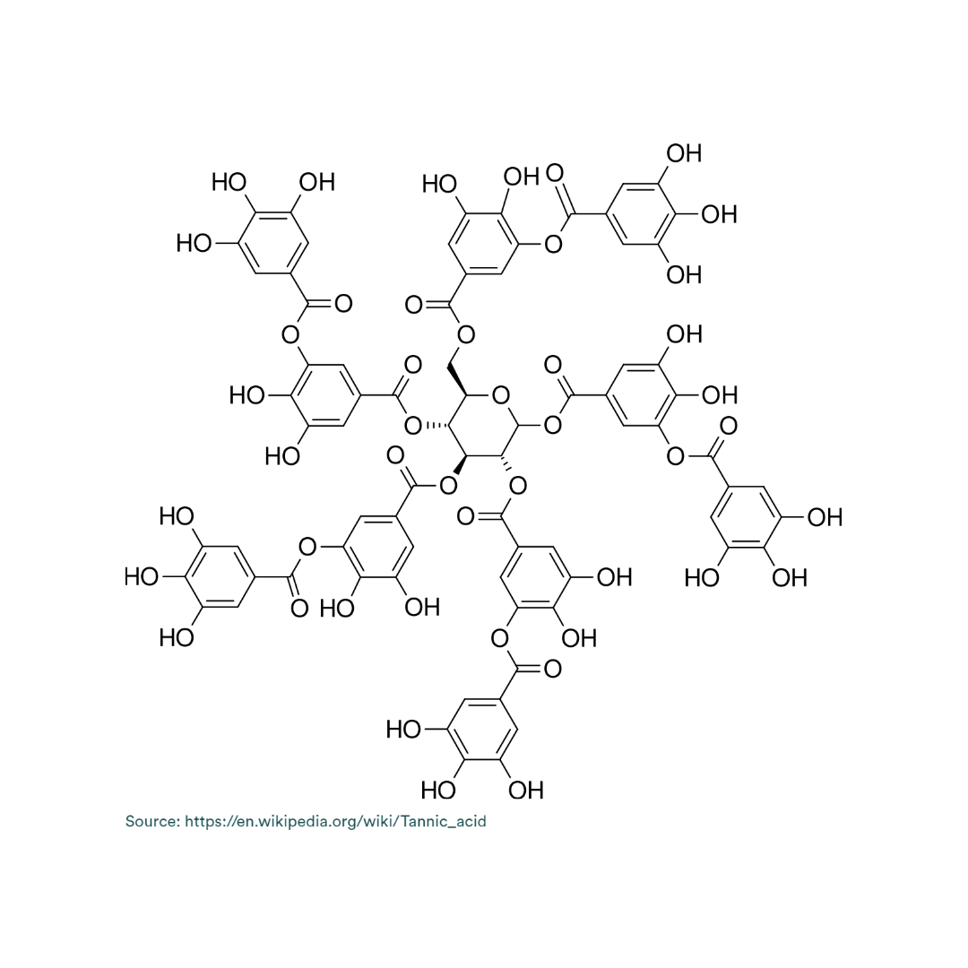 Polyphenols – The Ryl Company™